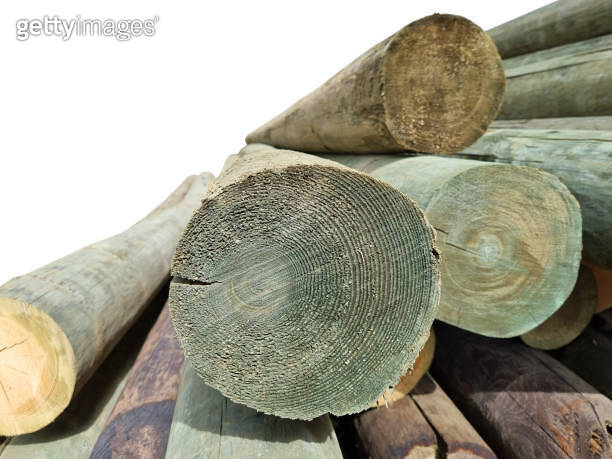 Stacked pine logs treated for mold, fungus and rot. Poles for equipment ...