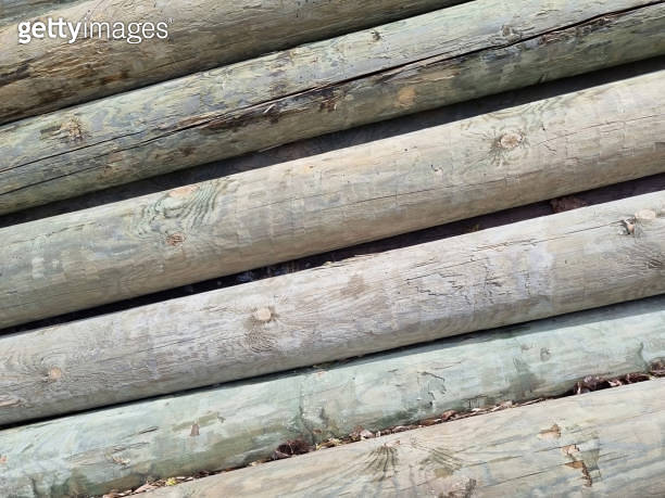 Stacked pine logs treated for mold, fungus and rot. Poles for equipment ...