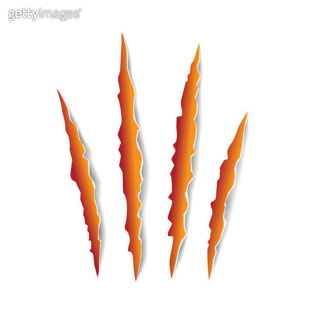 Orange color of animal claw marks, scratches, talons cuts cat, tiger ...