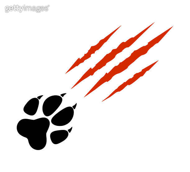 Animal paw print silhouette with red claw marks, scratches, talons cuts ...