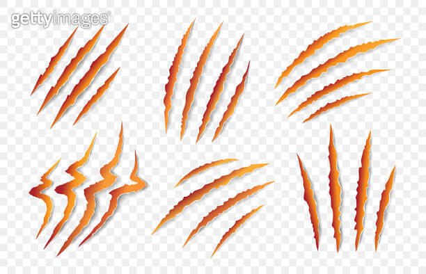 Set of orange animal claw marks, scratches, talons cuts cat, tiger, dog ...