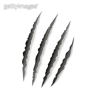 Animal claw paw marks, scratches, talons cuts cat, tiger, dog, lion ...