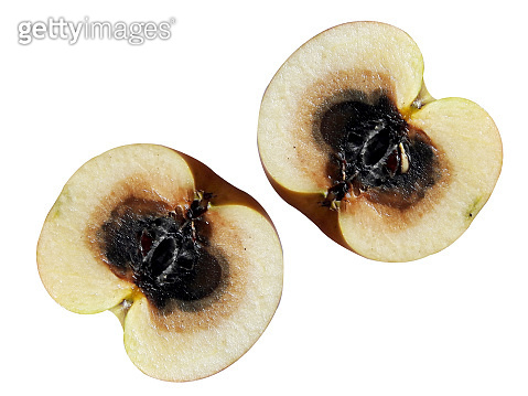 Apple (Browning) The core is shriveled and black (Moldy Core) The ...