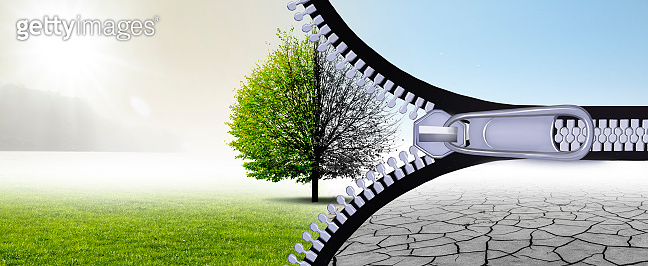 Climate change to green nature 이미지 (1411820859) - 게티이미지뱅크