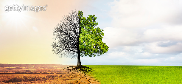 Climate change into a green environment 이미지 (1383506907) - 게티이미지뱅크