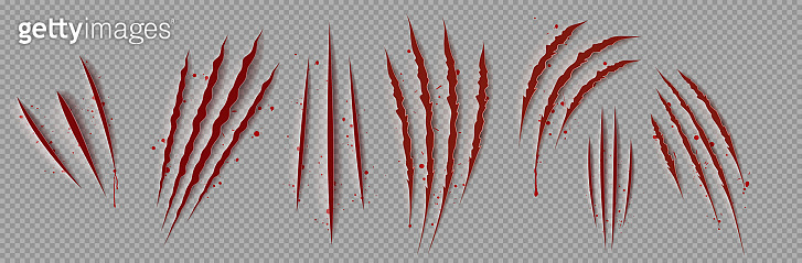 Bloody claw marks realistic png, 3D vector (1449009346) - 게티이미지뱅크