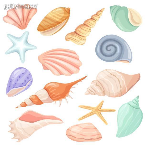 Cartoon seashells and starfish, tropical ocean seashell. Snail, oyster ...