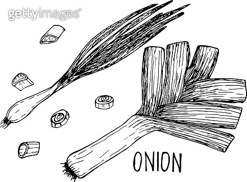 Onion outline drawn icon set 이미지 (1417560039) - 게티이미지뱅크
