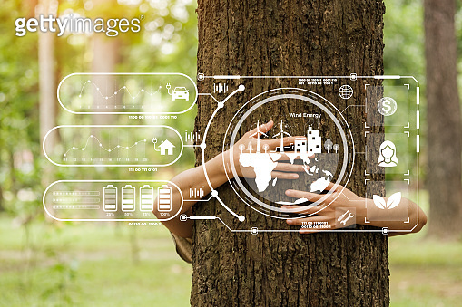 Human hand touching tree in rainforest, Love nature concept ...