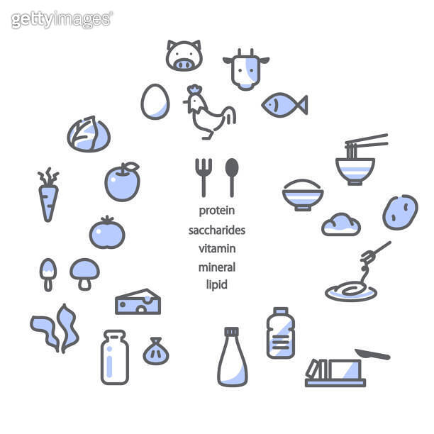food and nutrition, healthy eating, outline illustration (1430314247 ...