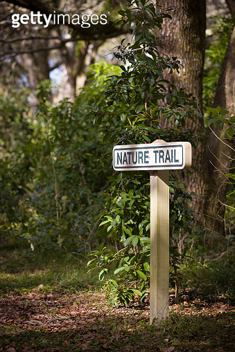 A nature trail in the rain forest. A sign with an entry to the forest ...