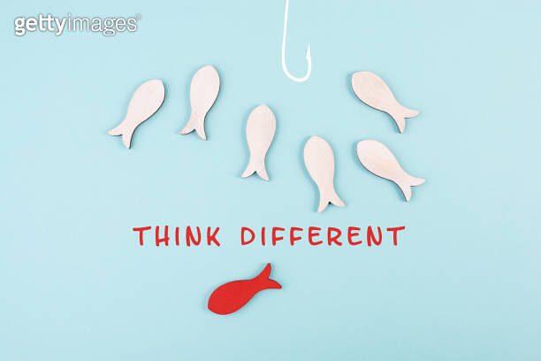 Group of fishes swimming to the fishing rod, red fish thinks different ...