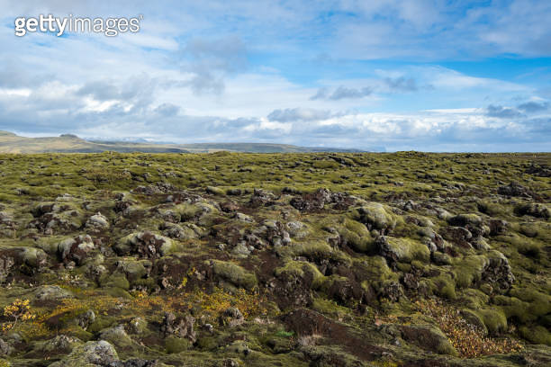 Scenic autumn green lava fields near Fjadrargljufur Canyon in Iceland ...