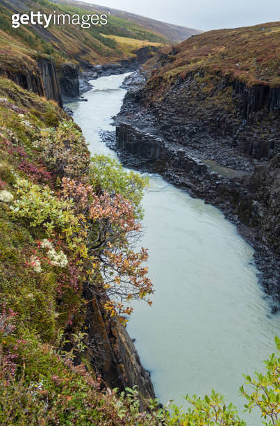Autumn picturesque Studlagil canyon is a ravine in Jokuldalur, Eastern ...