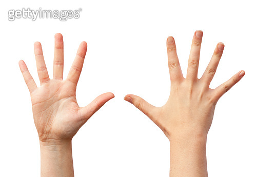Open raised hands, front and back view isolated over white (1395683482 ...