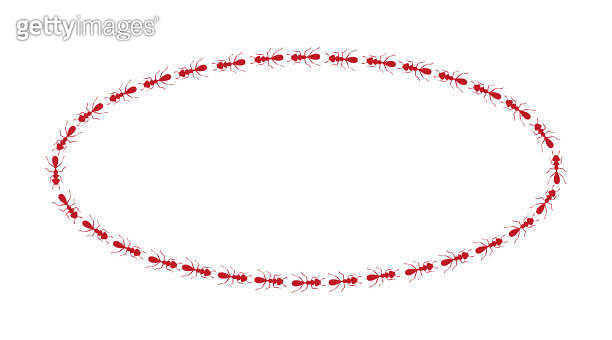 Ants path oval border. Ant circle trail isolated in white background ...