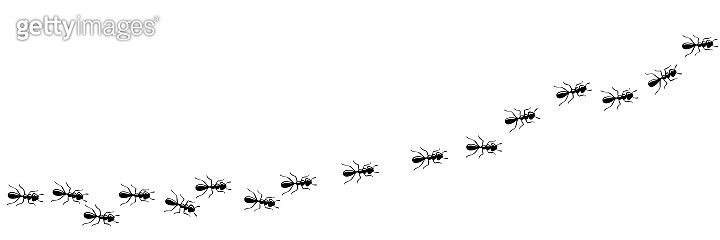 Ants marching in trail. Ant path isolated in white background. Vector illustration 이미지 ...