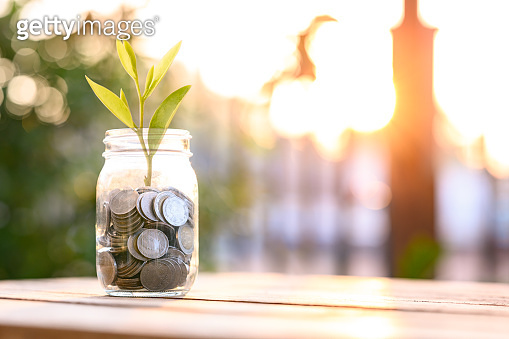 Growing Money, business finance and savings money invest , Balance ...