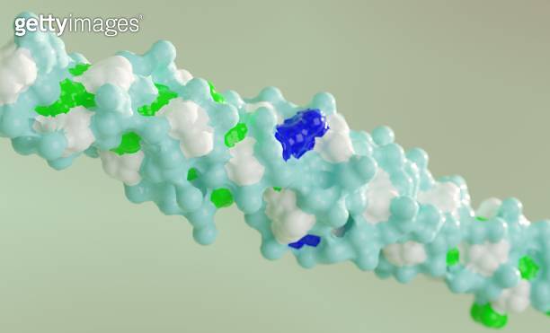 Collagen structural protein. Essential component of bone, hair, skin ...
