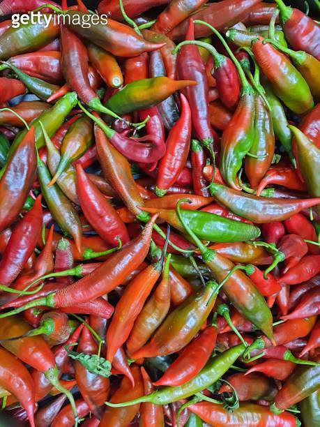 Chili pepper, full screen, top view. It is a variety of Capsicum ...