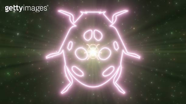 Ladybug Beetle Shape Outline Bright Glow Neon Lights Tunnel Ladybird ...