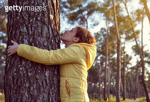 young girl with yellow jacket in profile hugging a tree in a pine ...