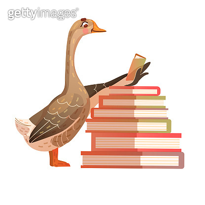 Cute goose reading book 이미지 (1416965168) - 게티이미지뱅크