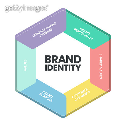 Brand identity infographic vector is digital marketing concept in 6 ...