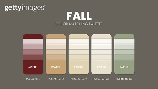 Fall theme color palettes or color schemes are trends combinations and ...