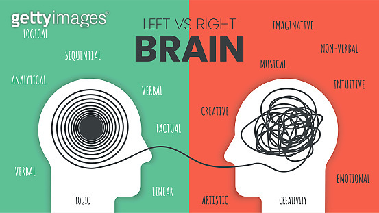 Left Brain vs. Right Brain Dominance infographic template. How the ...