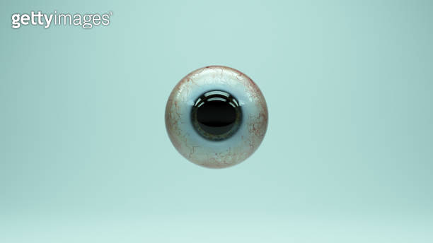 Eyeball Human Iris Cornea Pupil Dilation Anatomy Vision Reflection ...