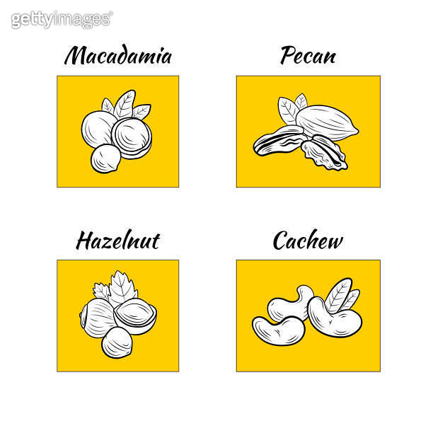 Vector set of different nuts illustrations on bright yellow background ...