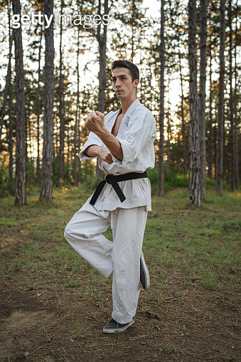 one caucasian man karateka training karate in forest in day in nature ...