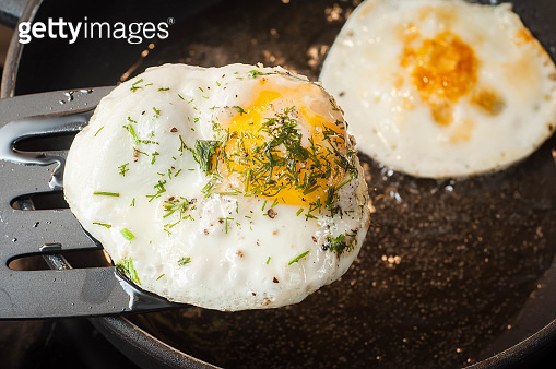 the rate of fatty and omega acids from chicken yolk, a combination of ...