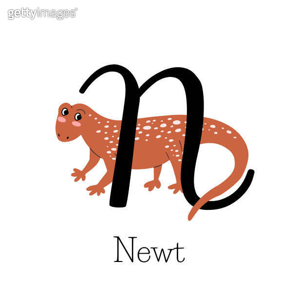 Shy newt with letter N (1368007297) 일러스트, 무료 일러스트 - 게티이미지뱅크