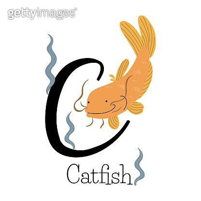 Learning language with letter C- catfish 이미지 (1364072750) - 게티이미지뱅크