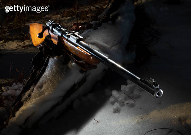 Sporterized military bolt action rifle (1384839150) - 게티이미지뱅크