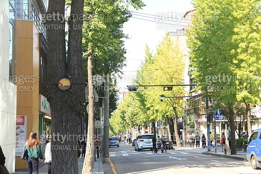 Street View of Sinsa-dong in Gangnam District in Seoul, South Korea 이미지 ...