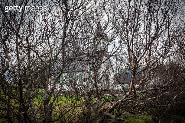 Thingvellir Church in tree branches 이미지 (1390079655) - 게티이미지뱅크