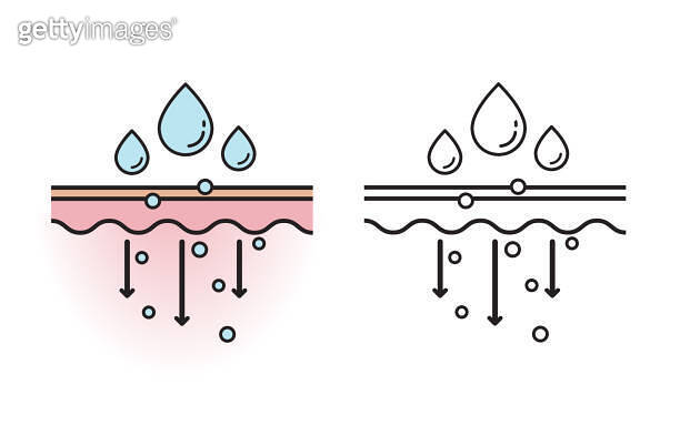 The mechanism of nutrient absorption through skin layer with color and ...