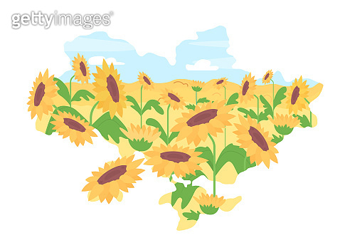 Map of Ukraine and sunflowers 2D vector isolated illustration ...