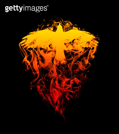 Silhouette of a flying raven with spread wings in beautiful flames ...