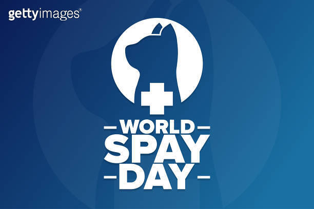 World Spay Day. Holiday concept. Template for background, banner, card ...