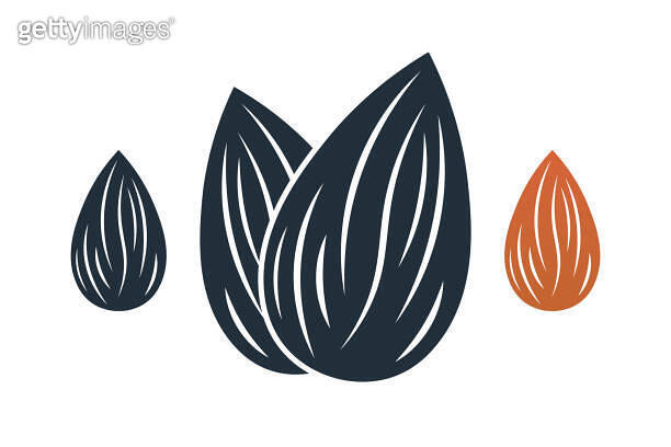 Almond. Simple icon set. Flat style element for graphic design. Vector ...