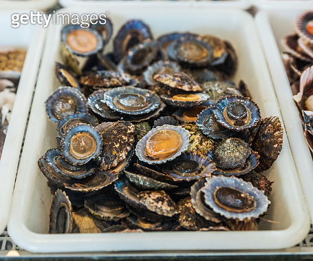 "Lapas" or true limpets - traditional seafood of Tenerife and Madeira ...