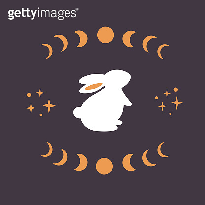 Cute white rabbit with astrological, esoteric elements. Moon phases ...