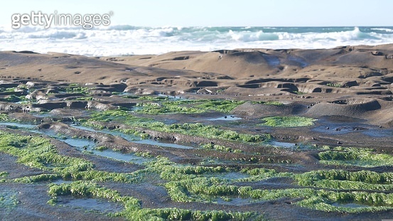 Eroded tide pool rock formation in California. Littoral intertidal ...