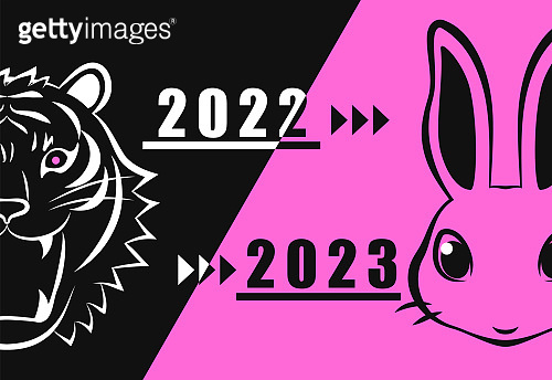 From 2022 Year of the Tiger to 2023 Year of the Rabbit New Year's Eve ...
