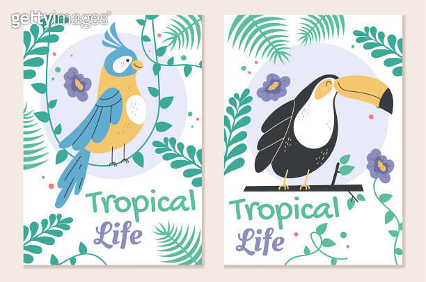 Jungle safari birds parrot greeting cards template set. Vector flat ...