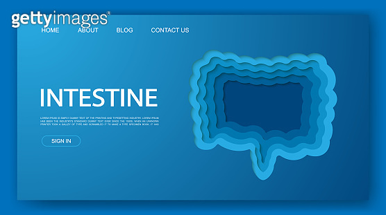 Intestine 3d paper cut website template. Small and large intestine ...